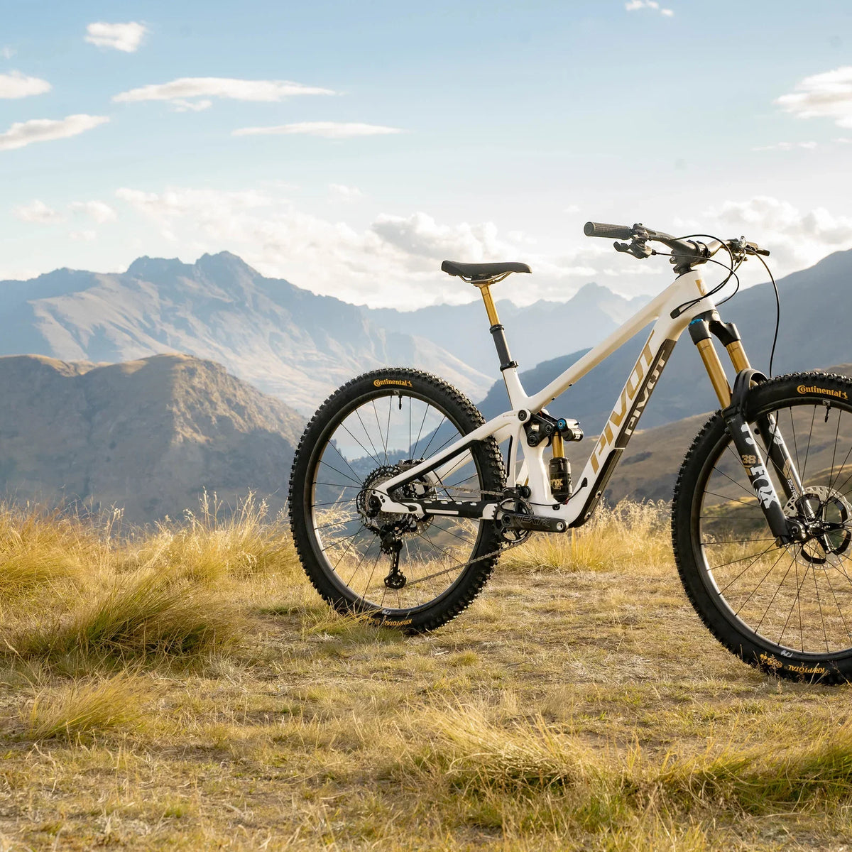 Pivot Cycles – Cycleways NZ